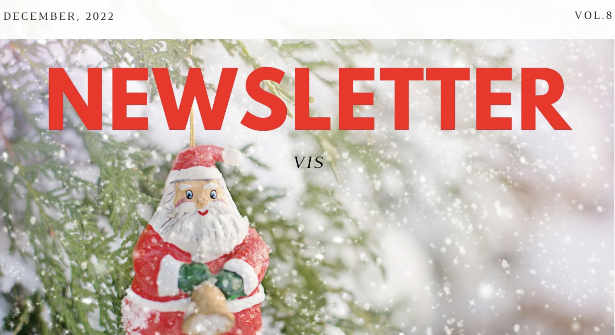 VIS Newspaper VOL.8 - VIS國際實驗教育