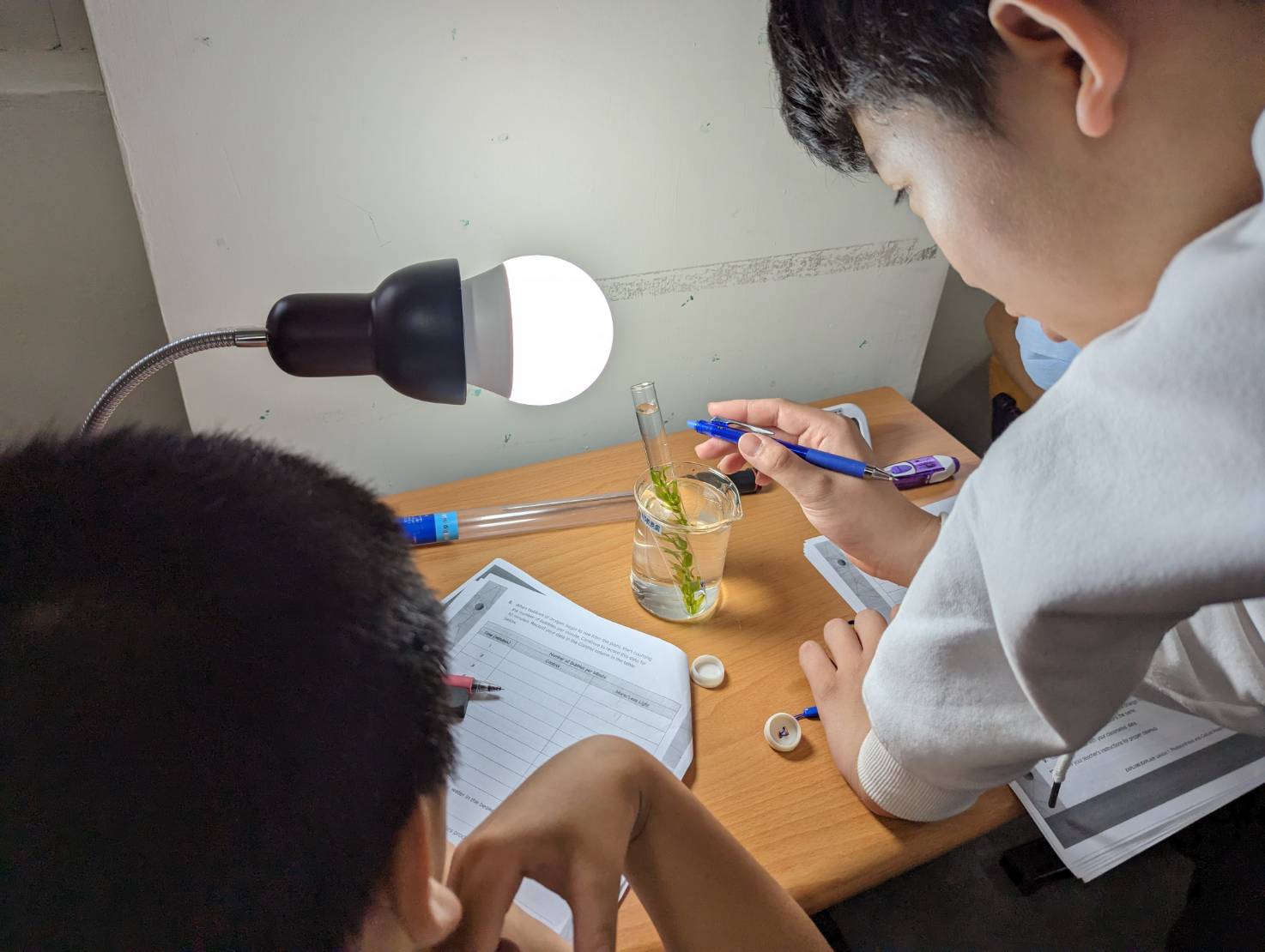 STEM Education - VIS國際實驗教育